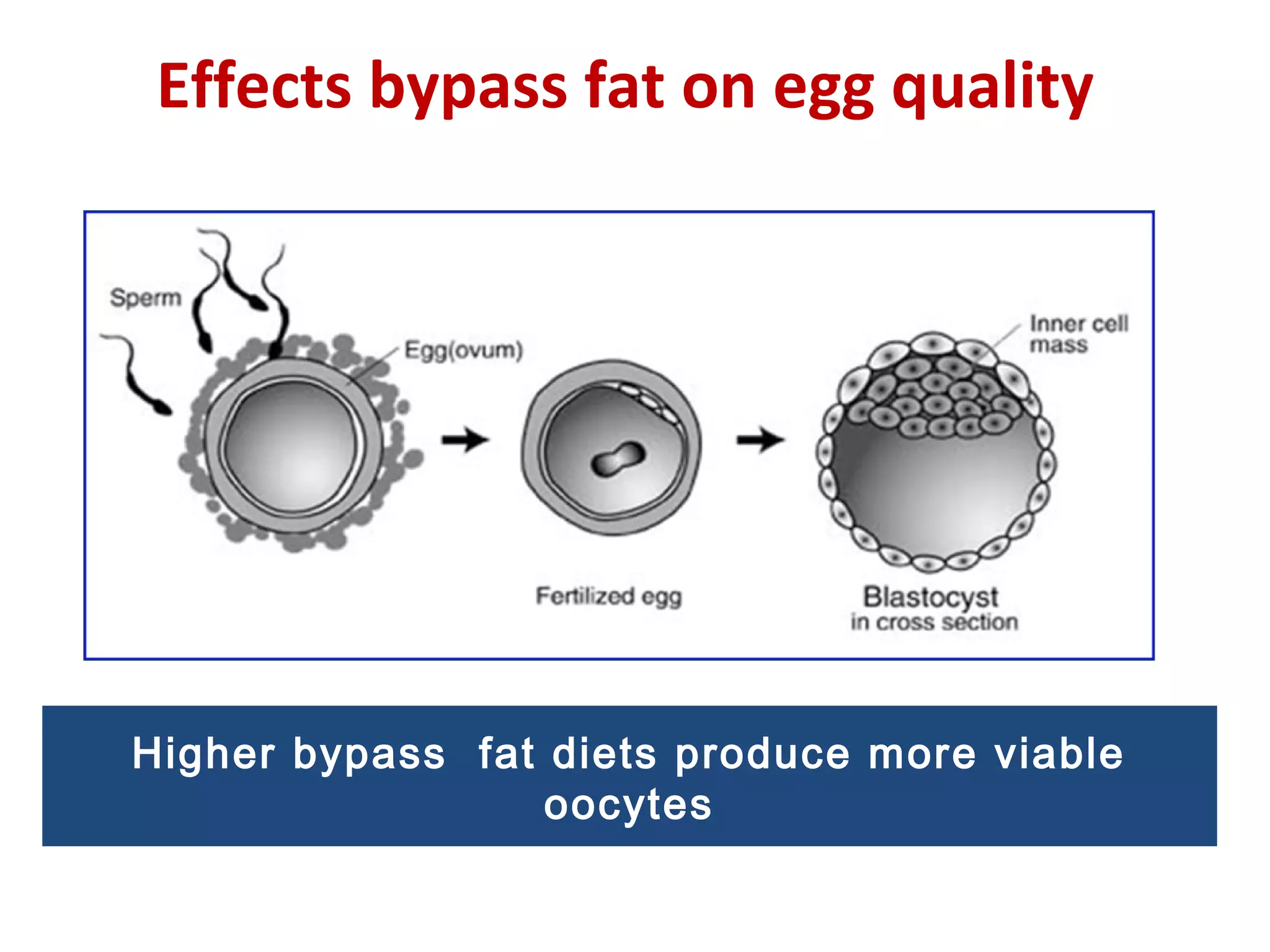 Bypass fat and bypass protein in livestock feeding | PPT