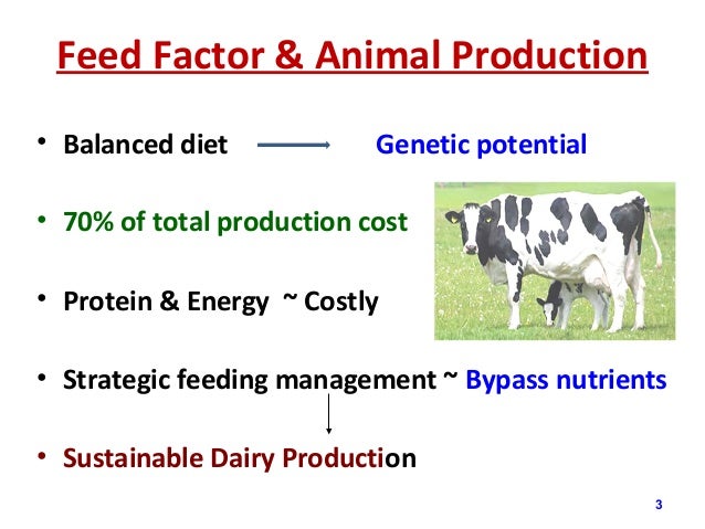 Concept Of Bypass Protein