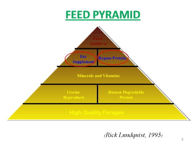 Bypass Fat And Bypass Protein In Livestock Feeding