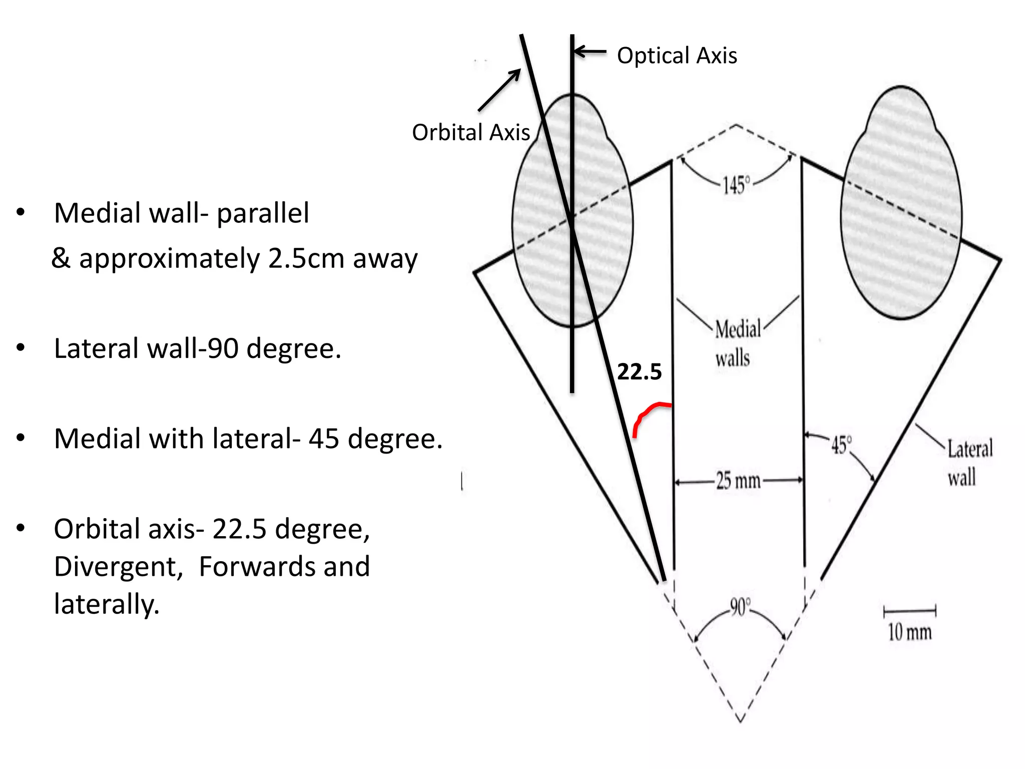 By pd anatomy of the orbit | PPTX