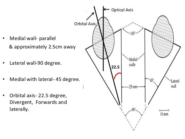 By pd anatomy of the orbit