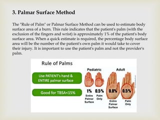 BURN WOUND ASSESSMENT by Priya Malik ( M.Pharm) | PPTX | First Aid ...