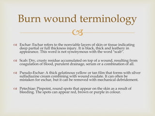 BURN WOUND ASSESSMENT by Priya Malik ( M.Pharm) | PPTX | First Aid ...