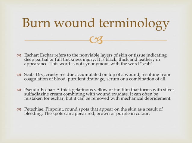 BURN WOUND ASSESSMENT by Priya Malik ( M.Pharm) | PPTX | First Aid | Injuries