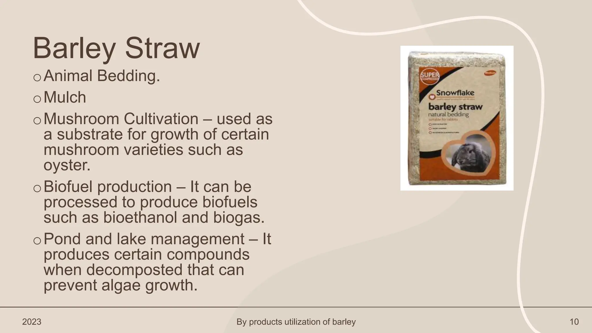 By Products Utilisation Of Barley.pptx