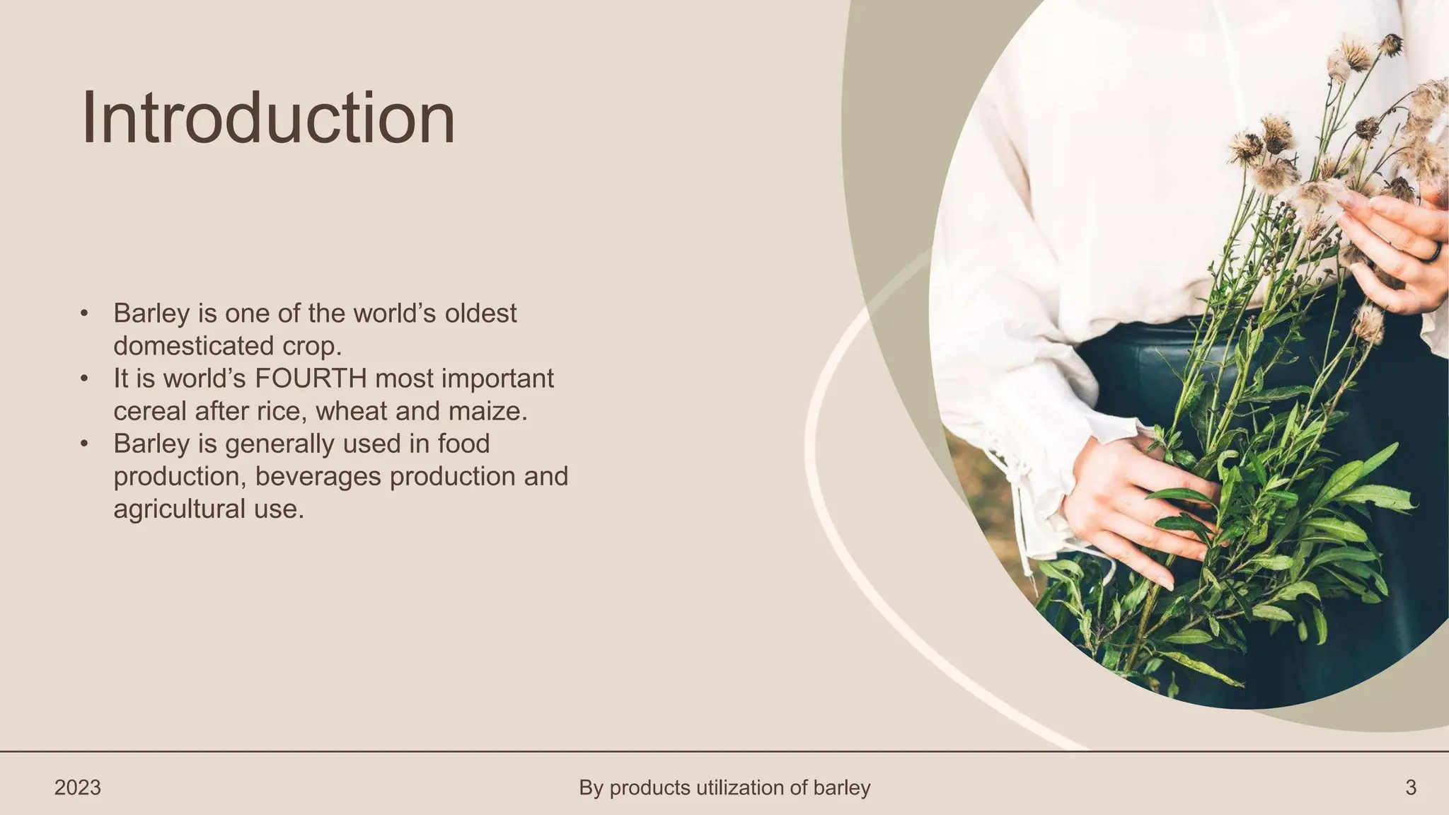 By Products Utilisation Of Barley.pptx