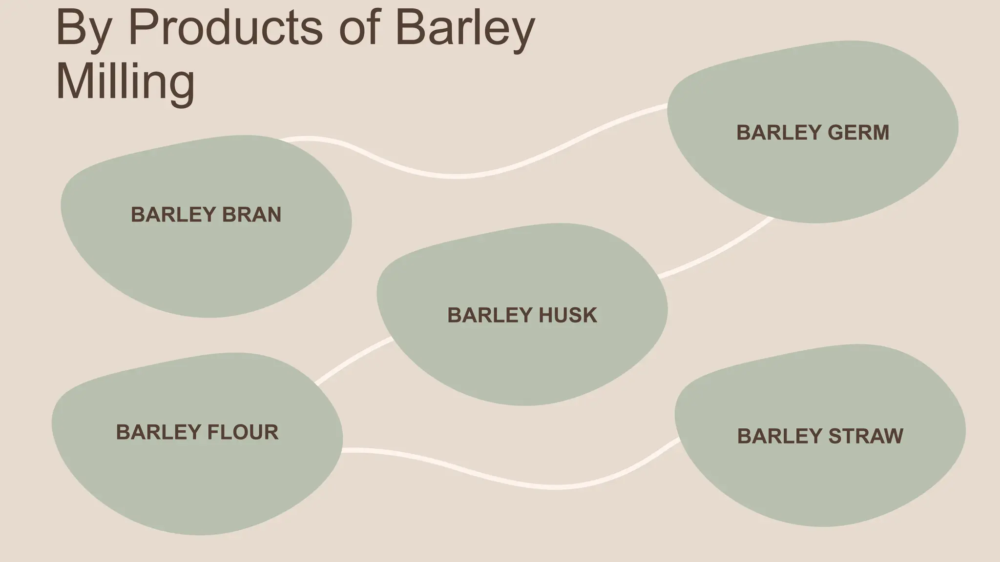 By Products Utilisation Of Barley.pptx