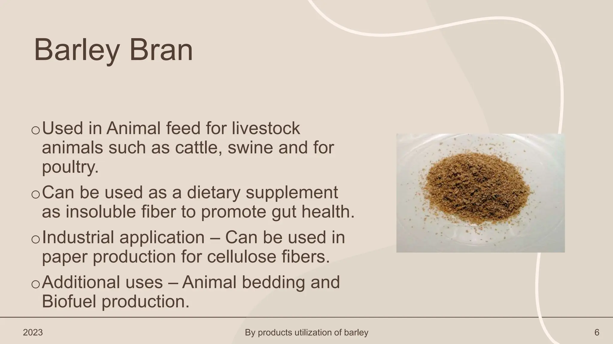 By Products Utilisation Of Barley.pptx