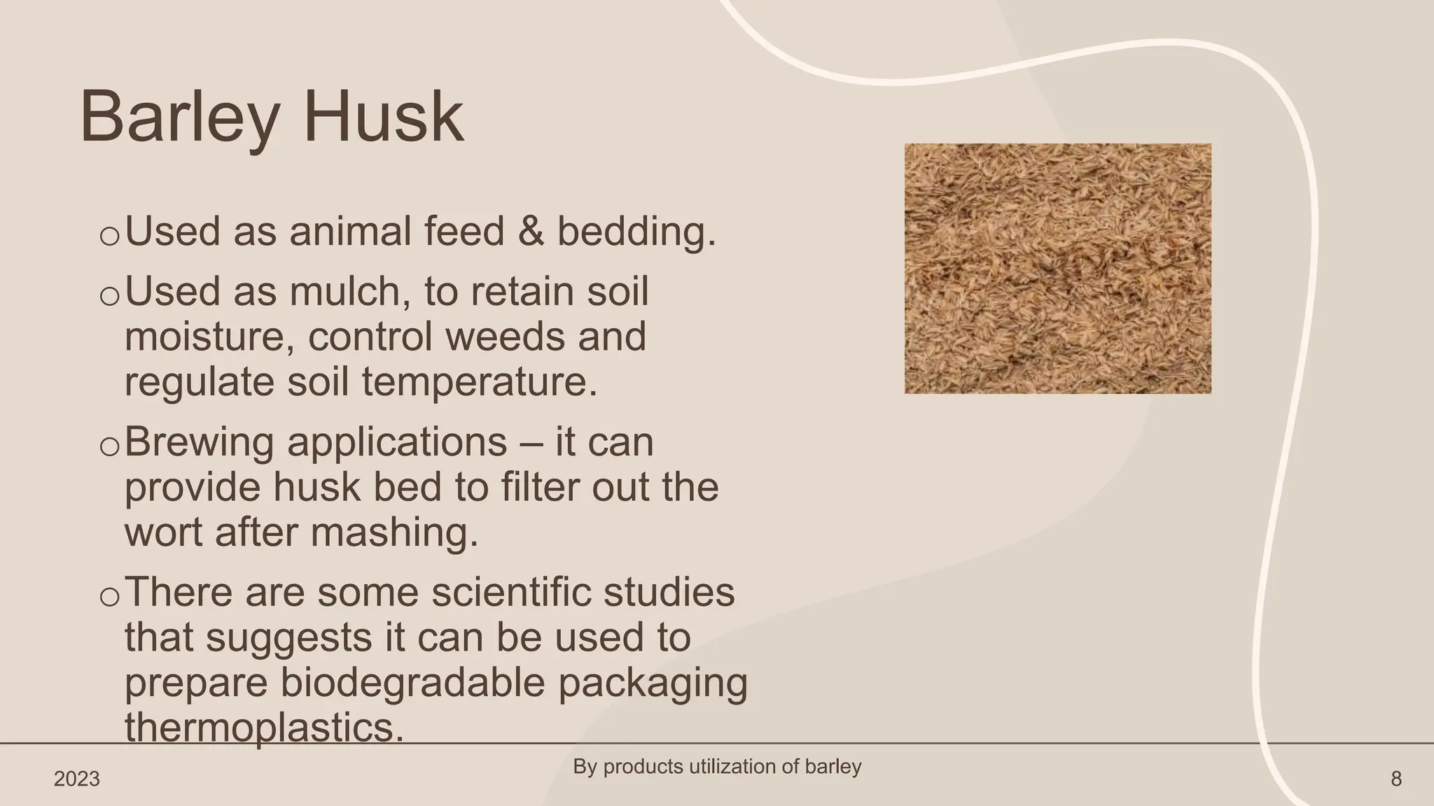 By Products Utilisation Of Barley.pptx