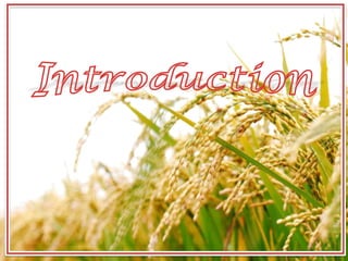By product utilisation in paddy processing | PDF