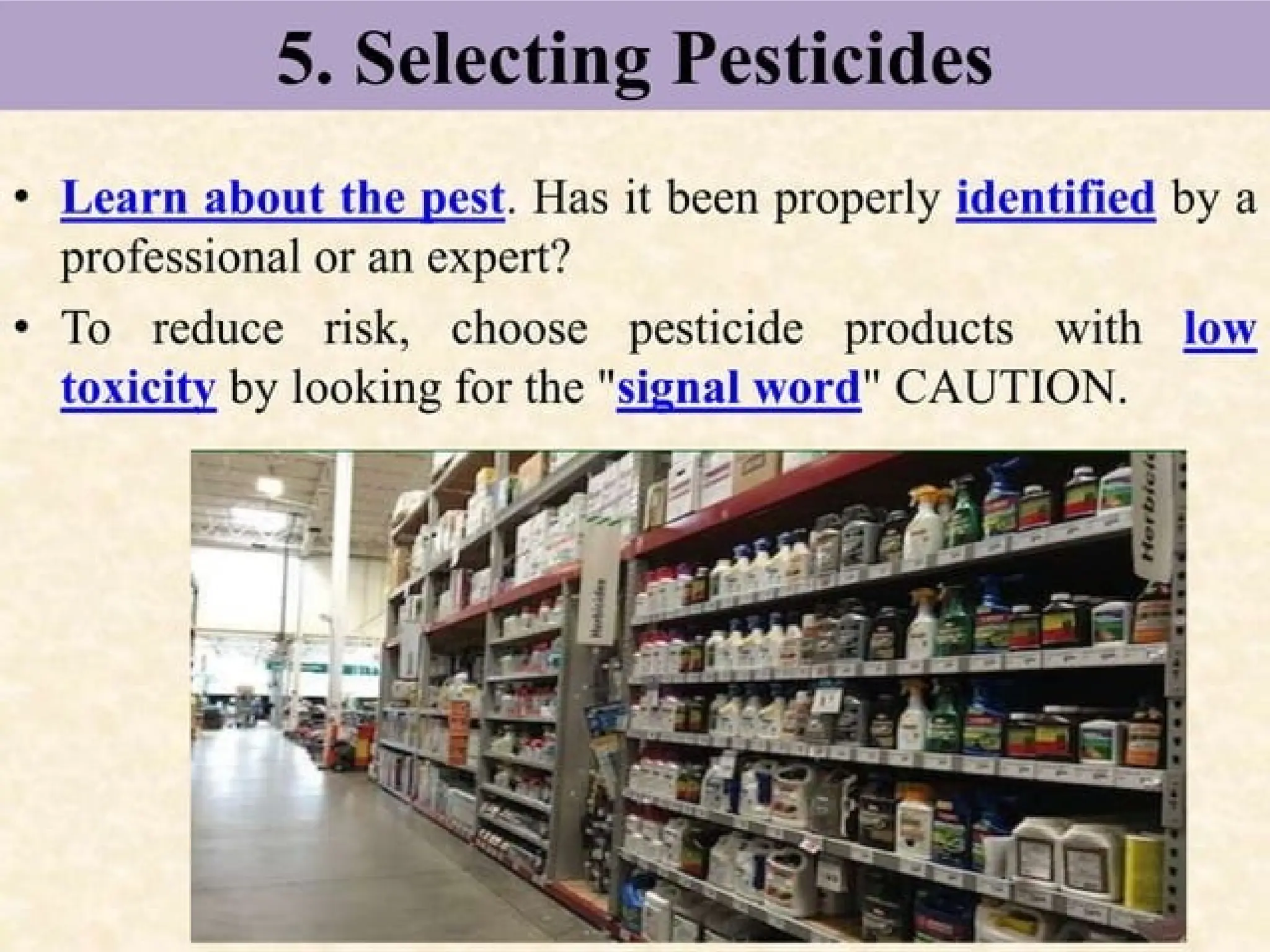 Byron ppt3_Pesticides Used in Agriculture (1).pptx
