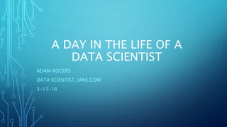 A Day in the Life of a Data Scientist | PPTX