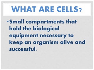 Animal cell powerpoint | PPTX