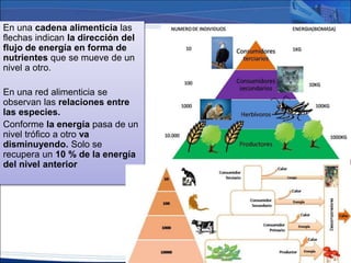 17 Factores Bioticos Y Abioticos Pptx