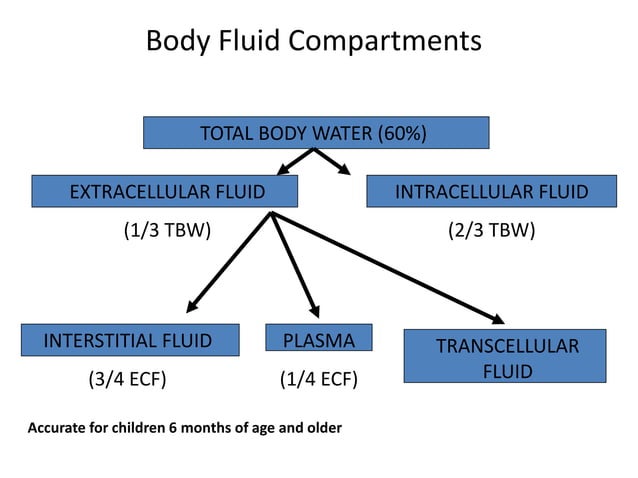 Fluid therapy | PPT