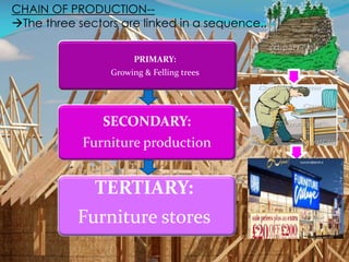 business activities or scopes of business | PPTX