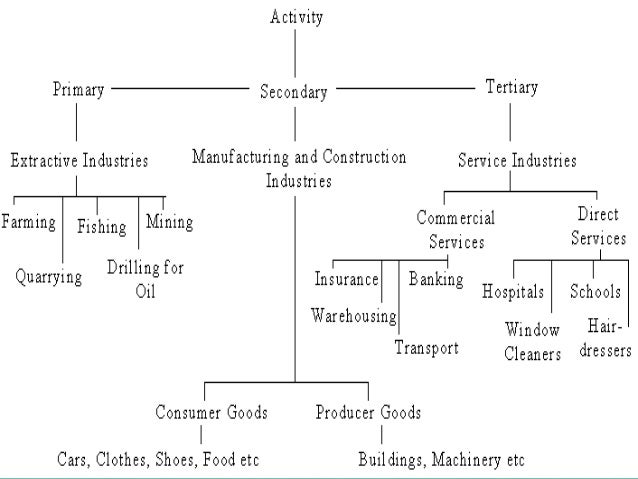 business activities or scopes of business