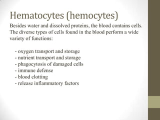 Bzt 214 circulatory system | PPT