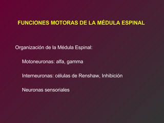 Funciones Motoras | PPT