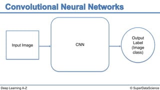 Deep Learning A-Z™: Convolutional Neural Networks (CNN) - What Are Convolutional Neural Networks ...