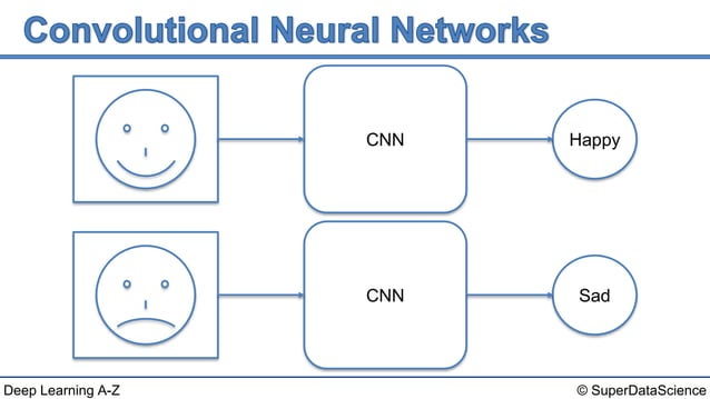 Deep Learning A-Z™: Convolutional Neural Networks (CNN) - What Are Convolutional Neural Networks ...