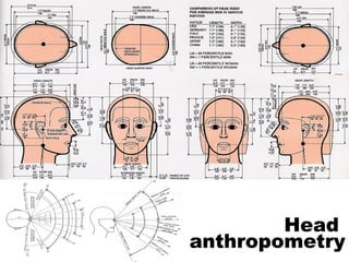 Meniscus, the Eye Diagnostic Integrated Facility | PPT