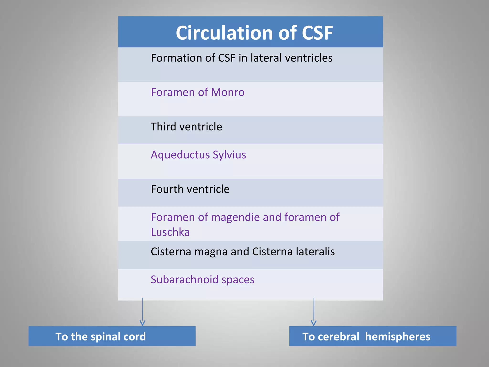 Cerebro Spinal Fluid- CSF | PPT