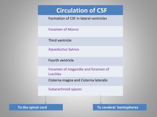 Cerebro Spinal Fluid- CSF | PPT | Brain and Nervous System Disorders ...