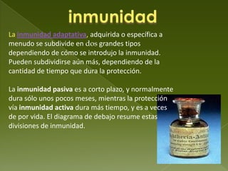 Inmunidad [Tipos] | PPTX