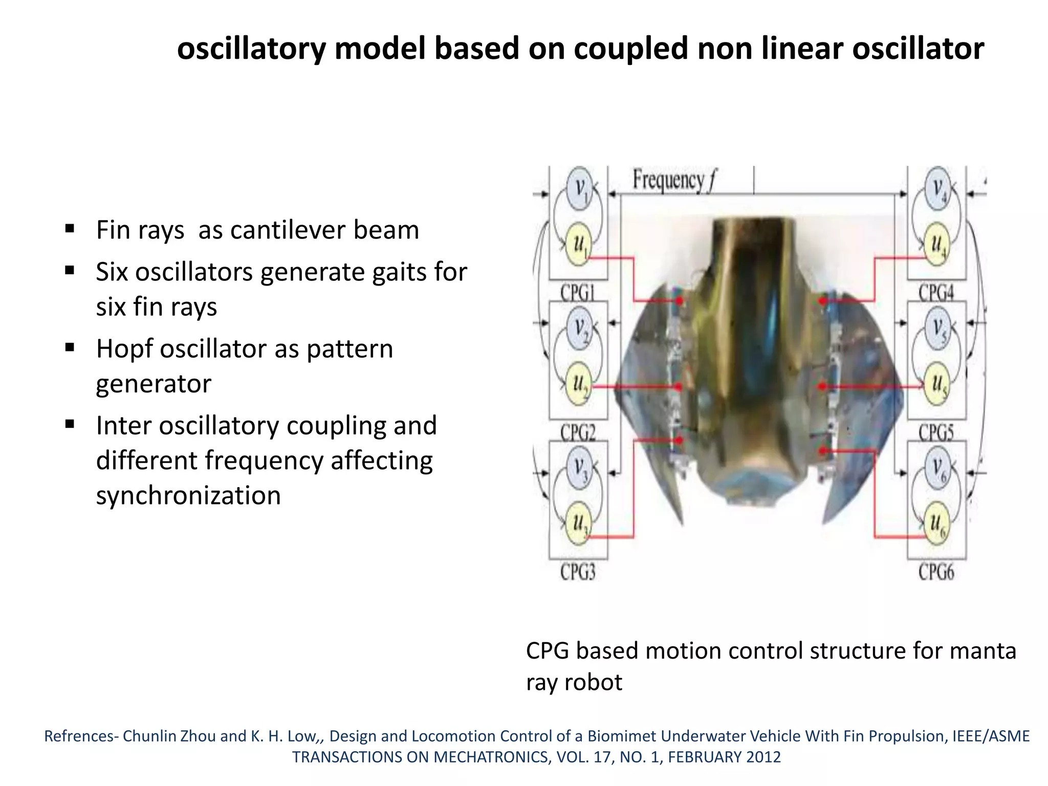 Central pattern Generator in manta ray | PPTX