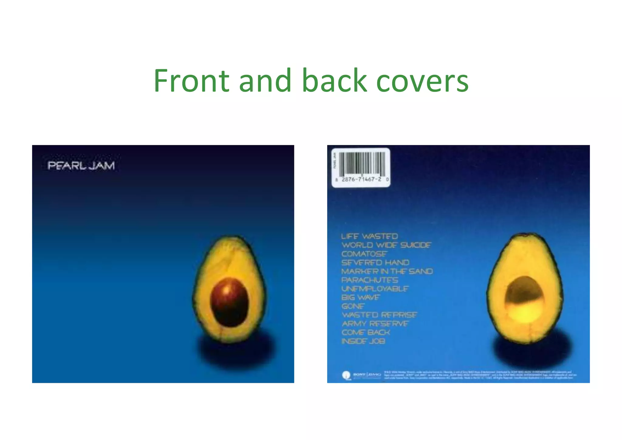 Fruit-Based Album Designs | DOCX