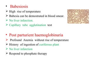 C.haemolyticum | PPT