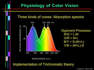 Colour vision ,,ppt by dr mazhar | PPT