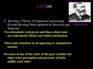 Colour vision ,,ppt by dr mazhar | PPT | Eye and Vision Conditions ...