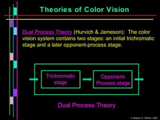 Colour vision ,,ppt by dr mazhar | PPT | Eye and Vision Conditions ...