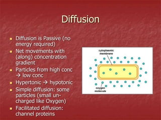 Cell membrane and cell membrane transport | PPTX