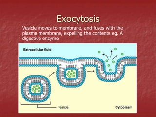Cell membrane and cell membrane transport | PPTX