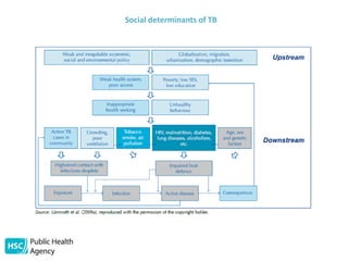 Case Study of Inequalities | PPTX