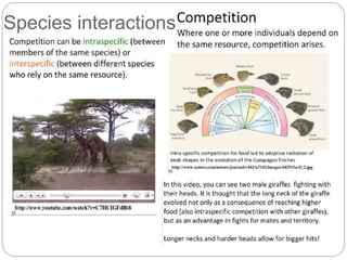 C.1 species and communities | PPT