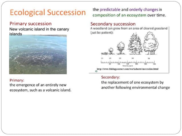 C.2 communities and ecosystem | PPT