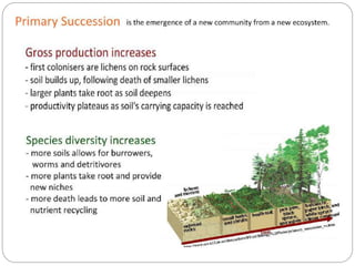 C.2 communities and ecosystem | PPT