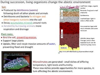 C.2 communities and ecosystem | PPT
