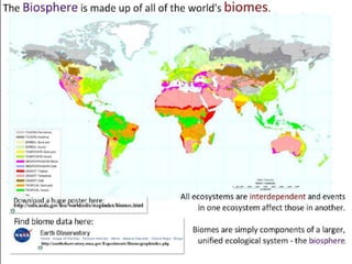 C.2 communities and ecosystem | PPT