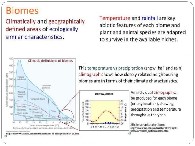 C.2 communities and ecosystem | PPT