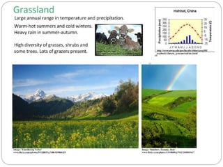 C.2 communities and ecosystem | PPT