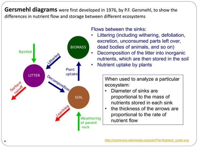 C.2 communities and ecosystem | PPT