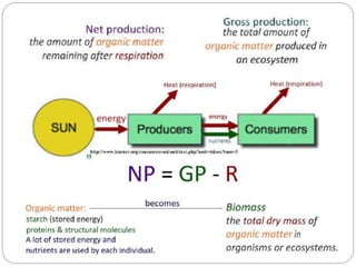 C.2 communities and ecosystem | PPT