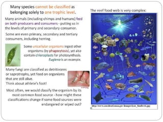 C.2 communities and ecosystem | PPT