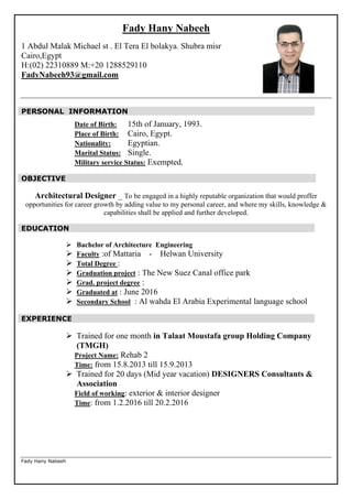 C.V & Portfolio | PDF