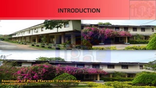 IPHT industrial training final presentation | PPT